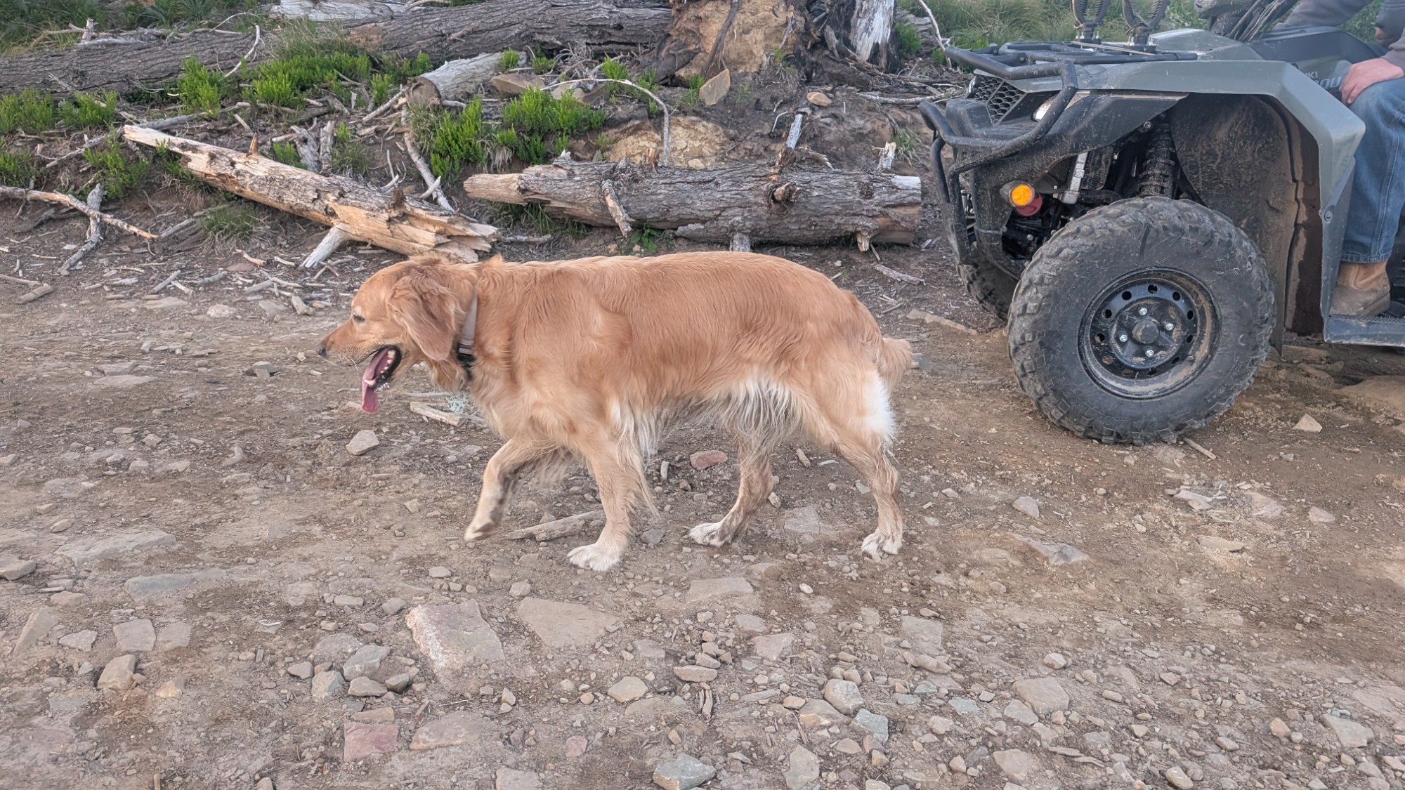 Day 60: The HST/ICT Hiker Bubble – Ramblin' Recon